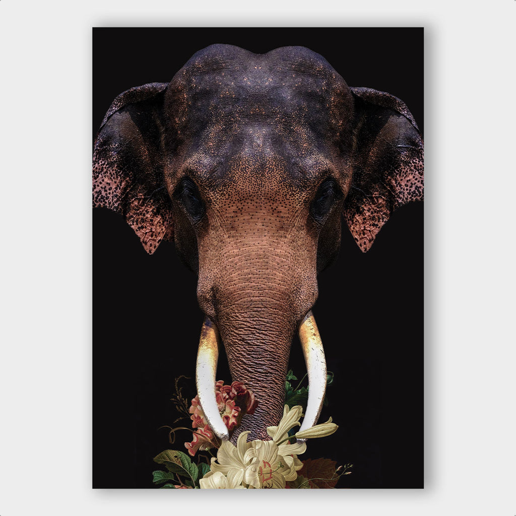 Asian Elephant - Poster - Artistic Lab