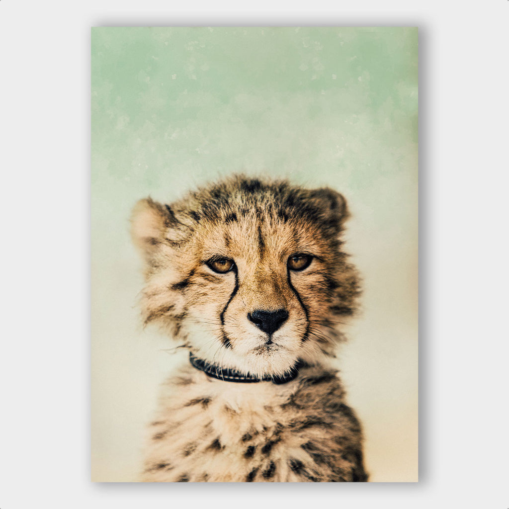 Baby Cheetah - Poster - Artistic Lab