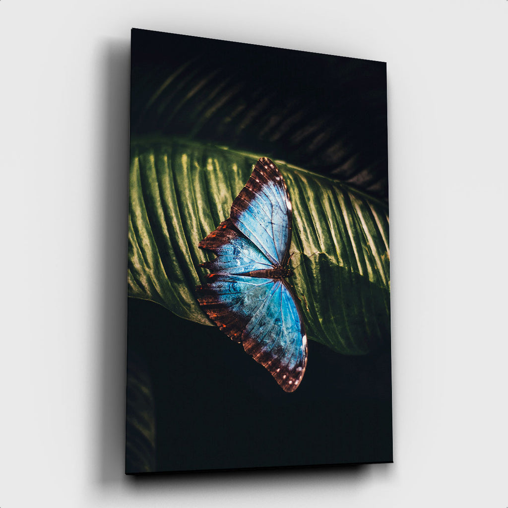 Butterfly - Poster - Artistic Lab
