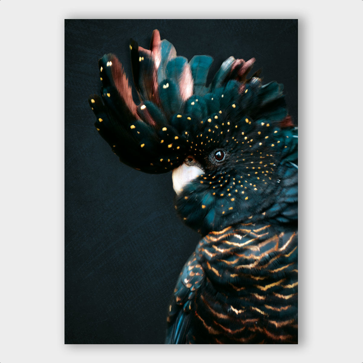 Cockatoo ² - Poster - Artistic Lab