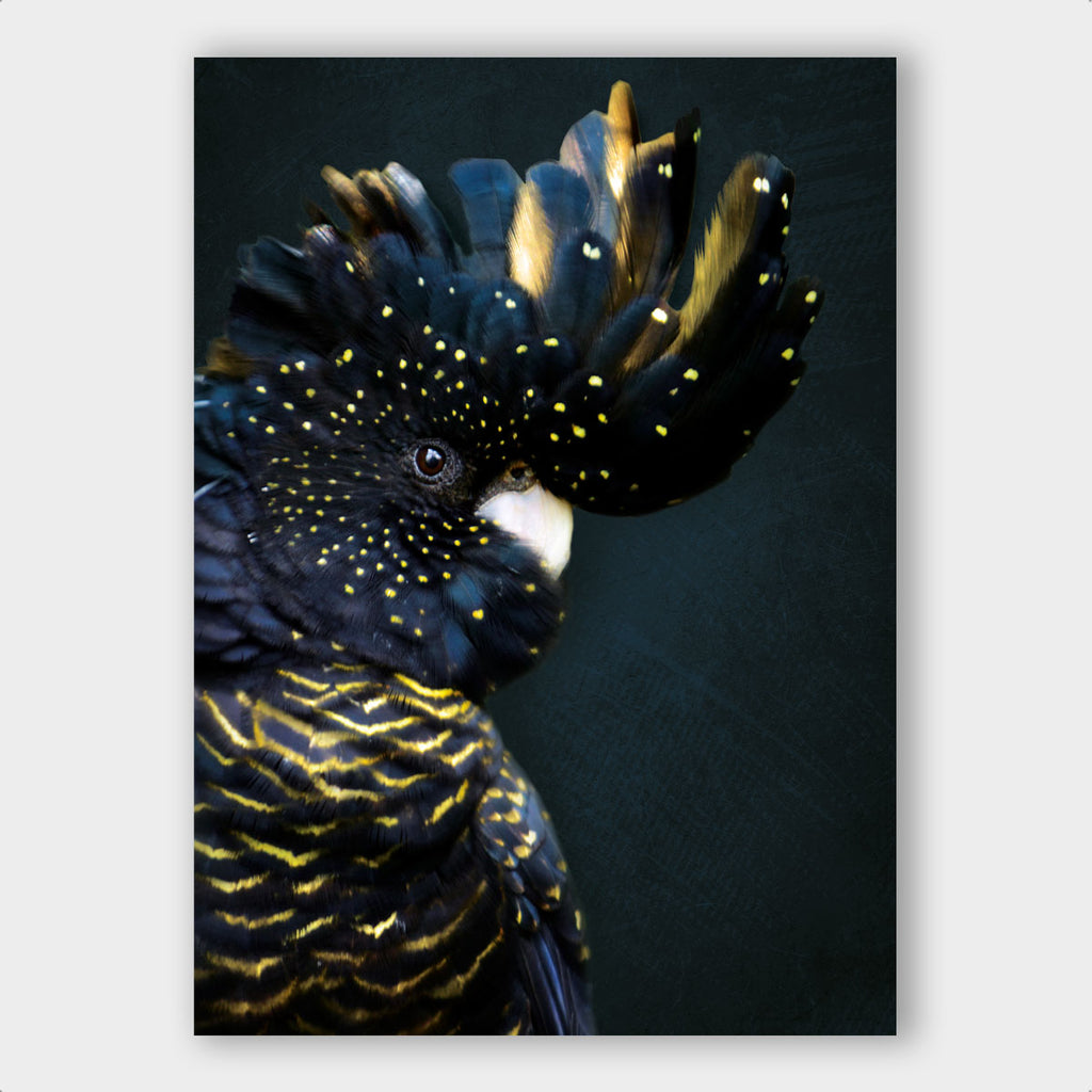 Cockatoo ³ - Poster - Artistic Lab