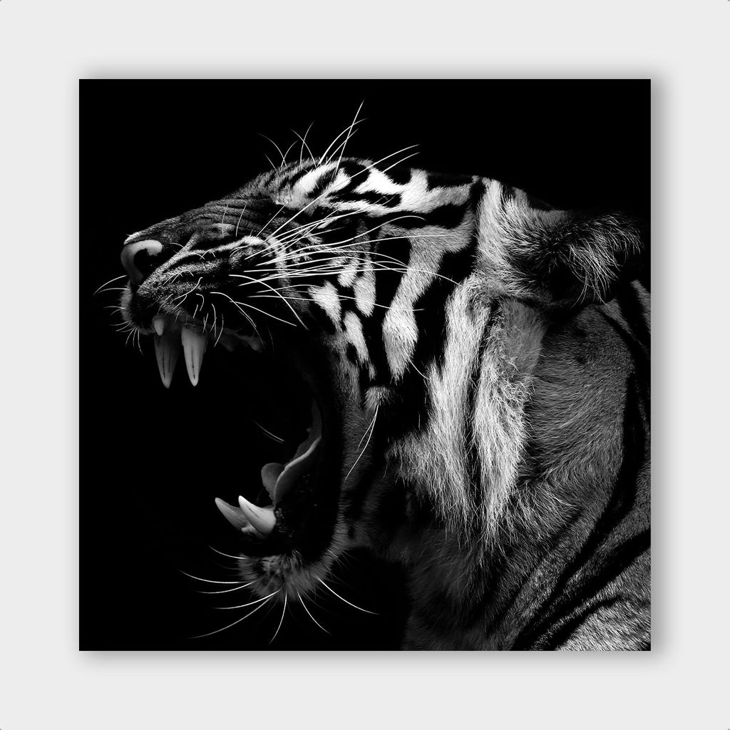 Dark Tiger Roar - Poster - Artistic Lab