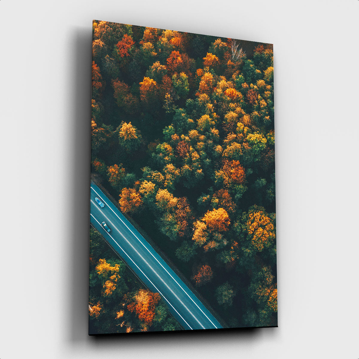 Forest Road - Poster - Artistic Lab