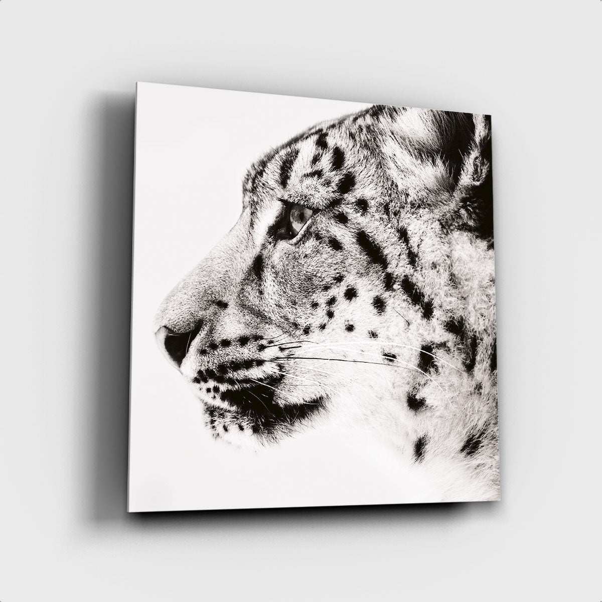 Light Leopard - Poster - Artistic Lab