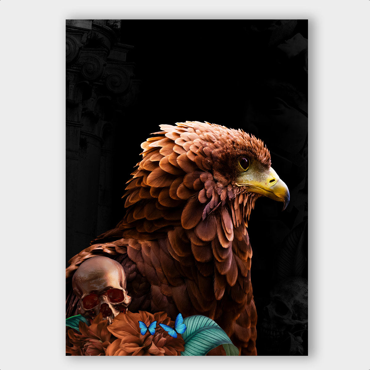 Roman Hawk - Poster - Artistic Lab