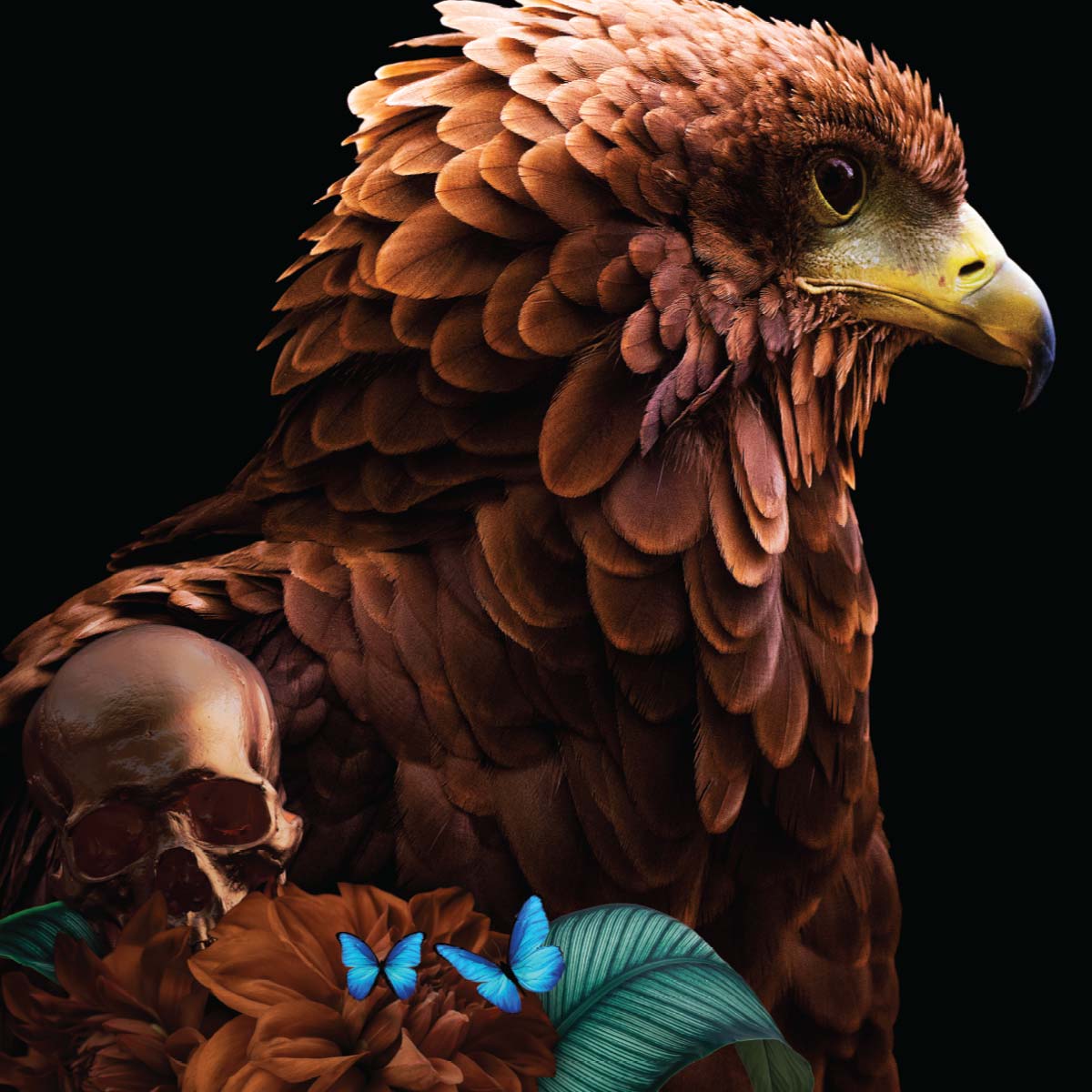 Roman Hawk - Poster - Artistic Lab