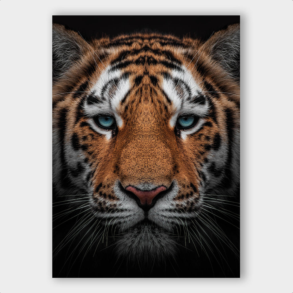 Tiger Close-up - Poster - Artistic Lab