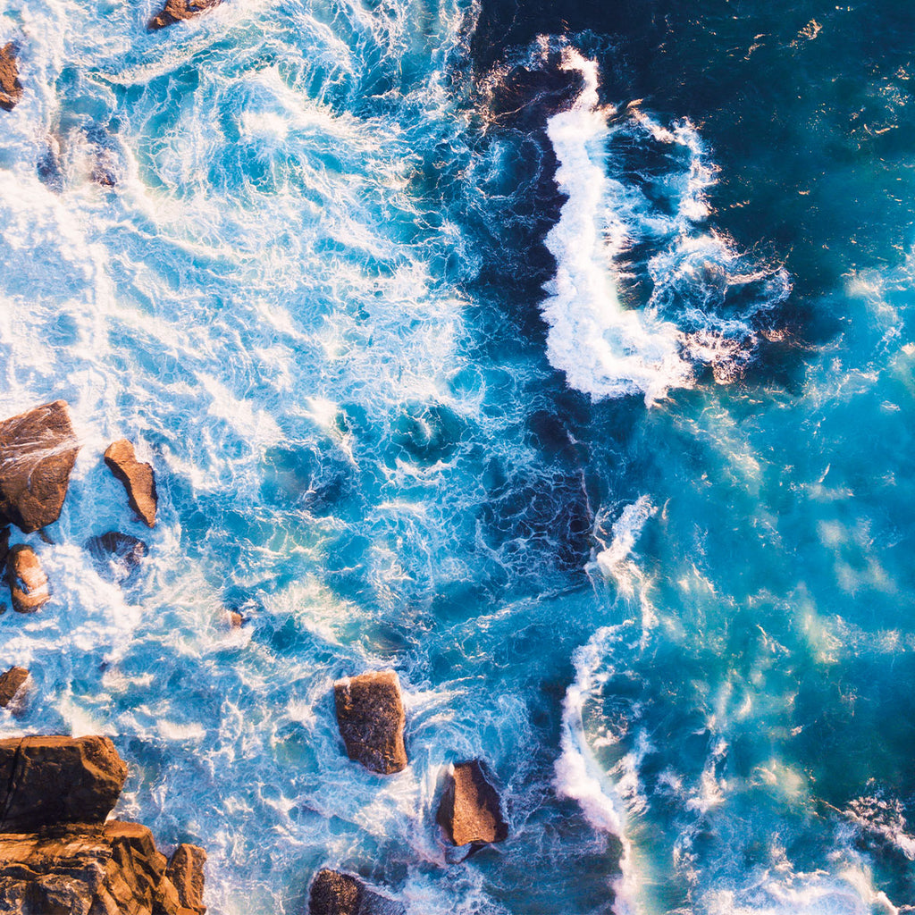 Wild Ocean - Poster - Artistic Lab